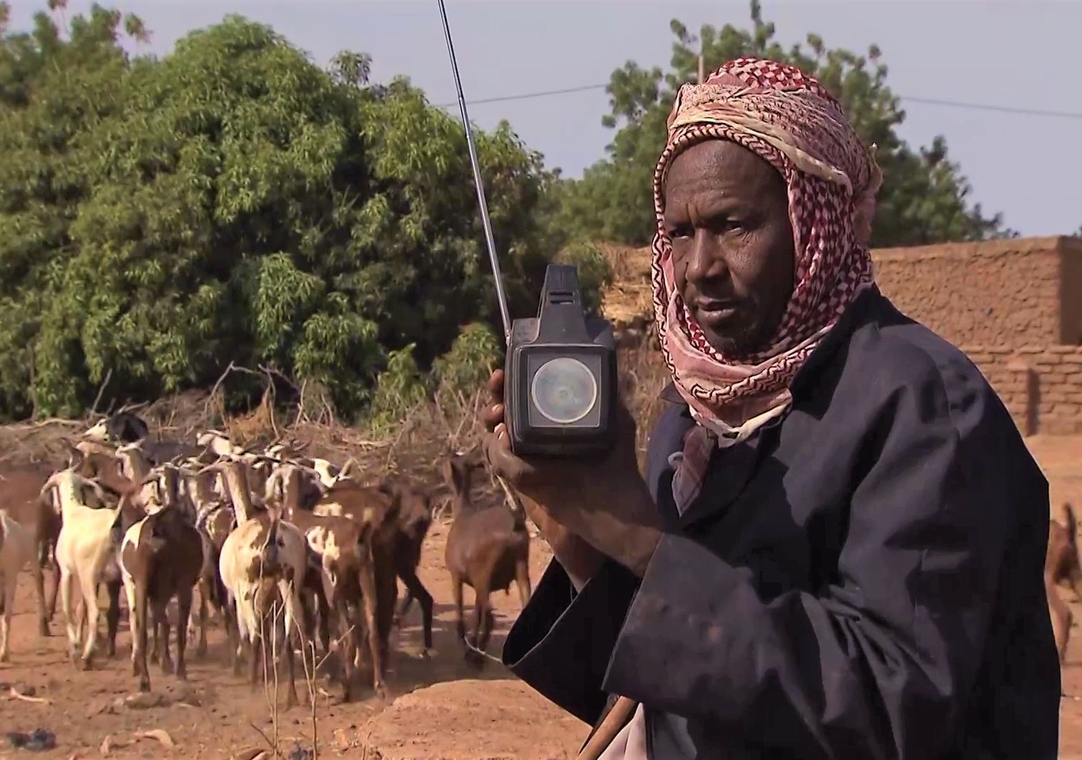 Un système d’information digitalisé pour révolutionner la transhumance ...